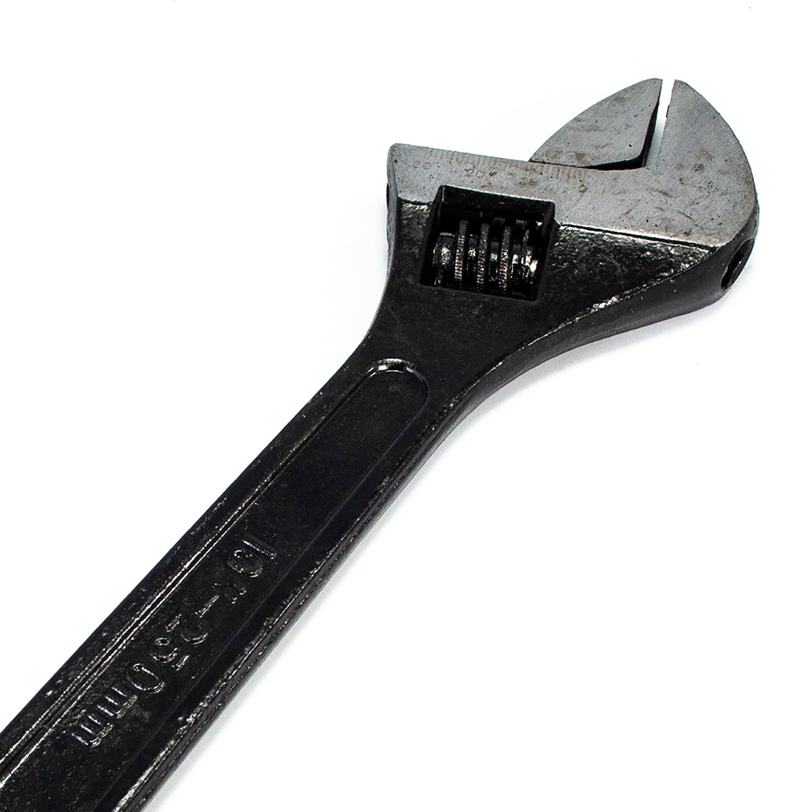 Perico Latintul pavonado 10" - La nueva eléctrica